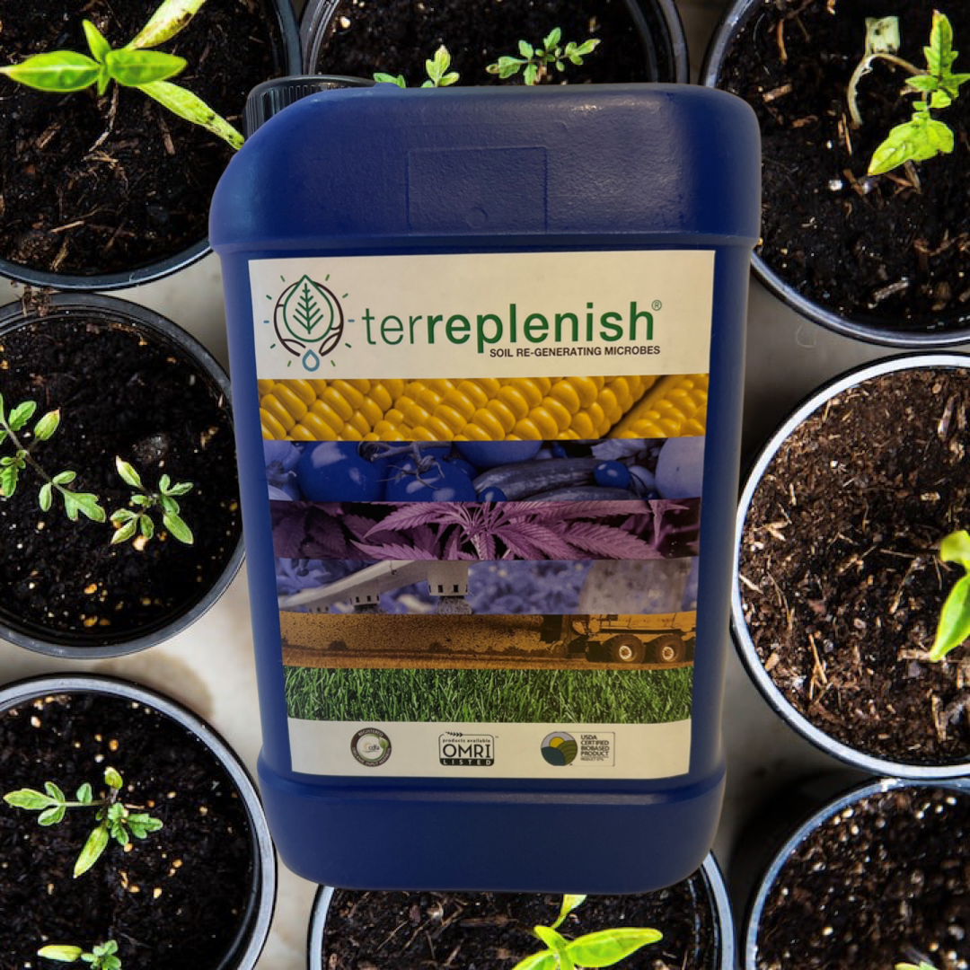 TERREPLENISH | Soil Microbes | Regenerative Organic Agriculture